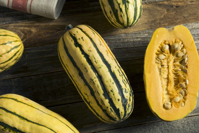 Roasted Delicata Squash - Abuela's Cuban Counter